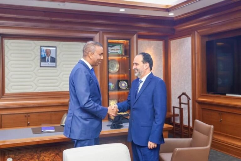 Somalia’s Prime Minister Meets Arab League Envoy to Strengthen ...